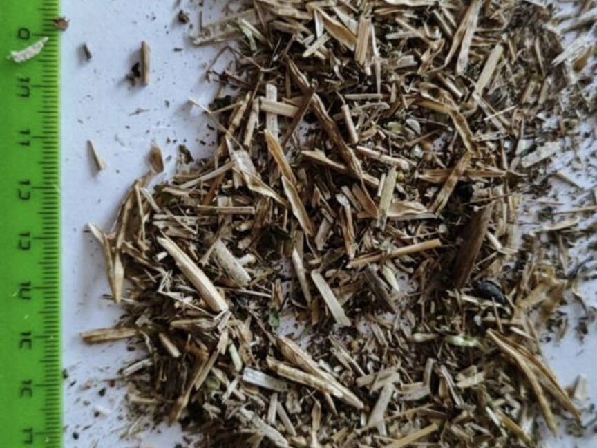 Отходы горчицы