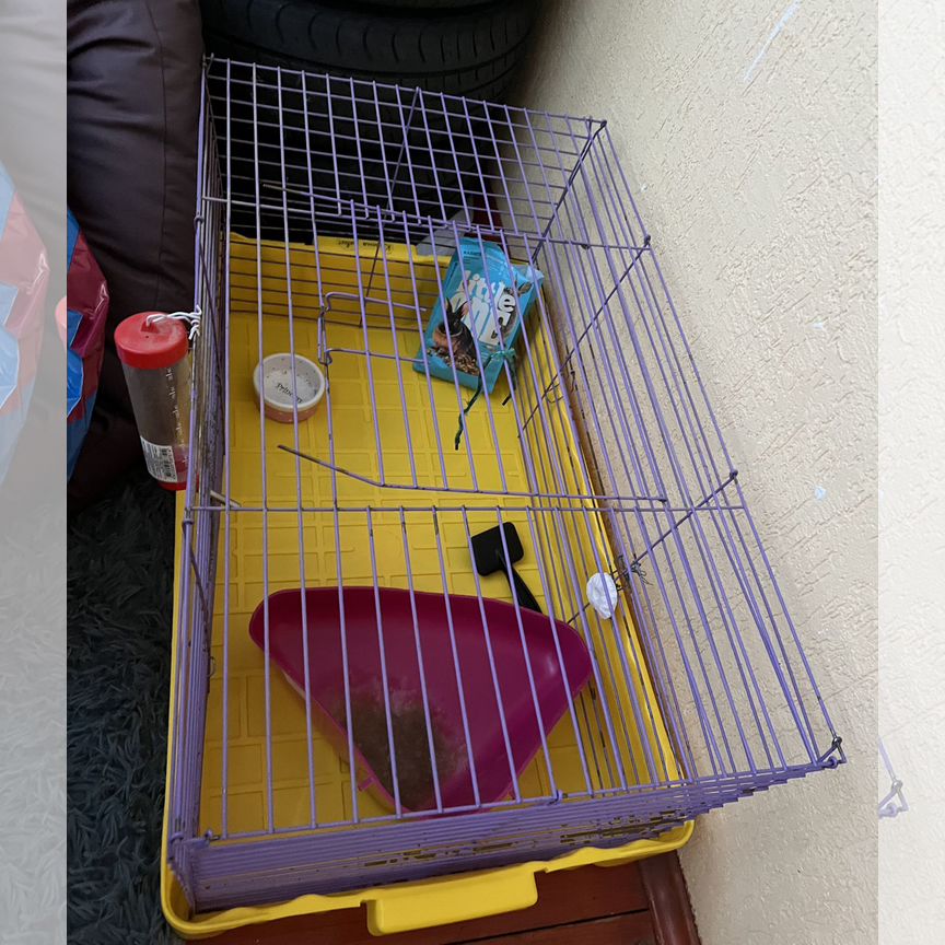 Клетка для кролика (грызуна)