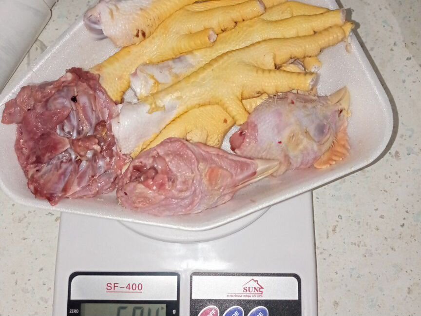 Корм для собак