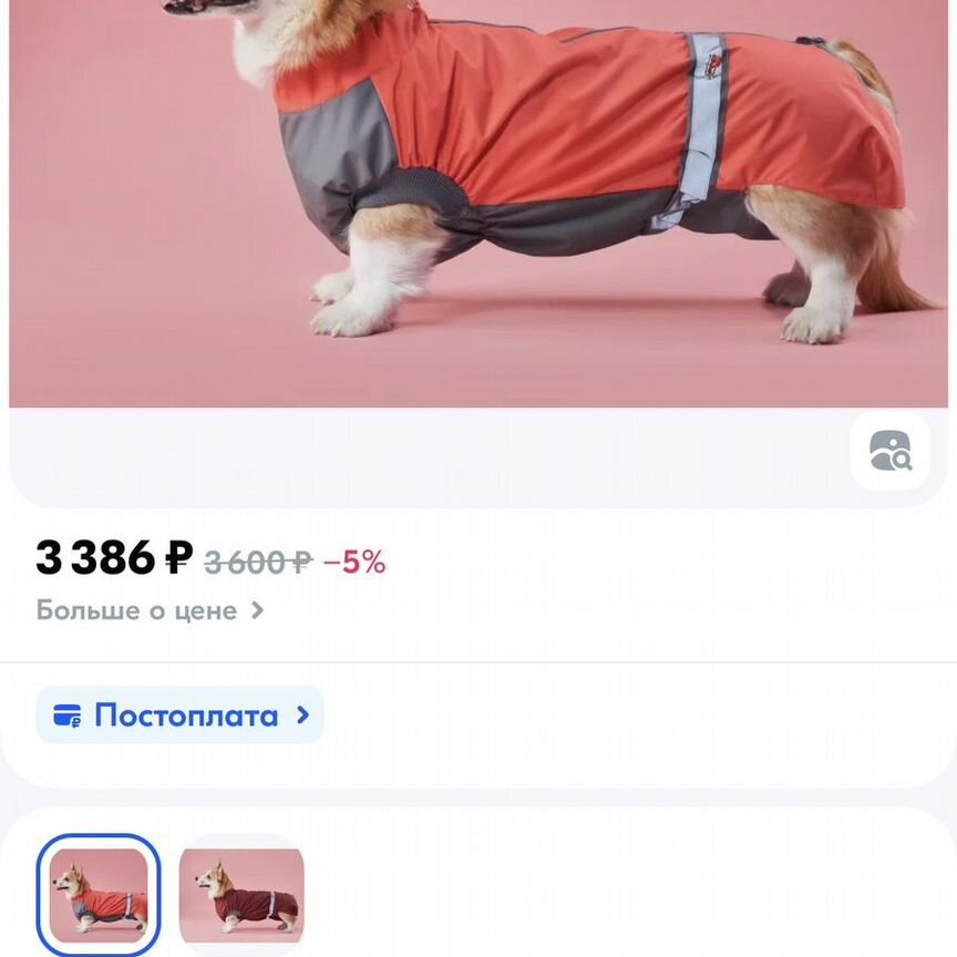 Комбинезон мембранный для корги на девочку, S