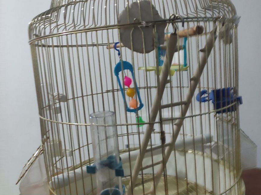 Клетка для попугая бу