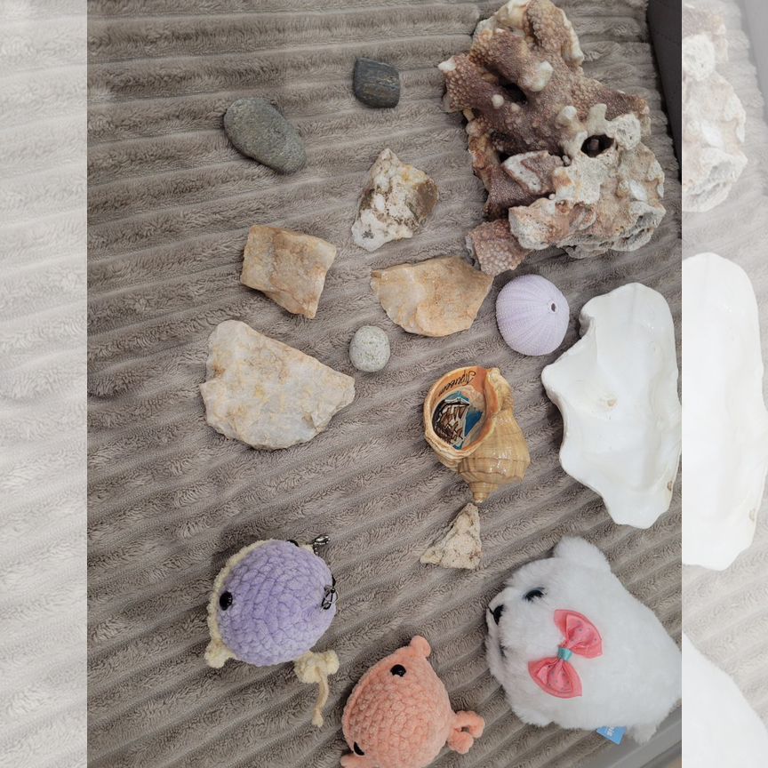 Коралл, ракушки, мрамор, кварц