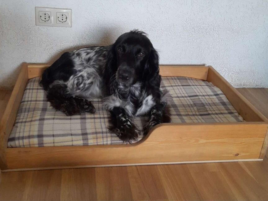 Лежанка для собак