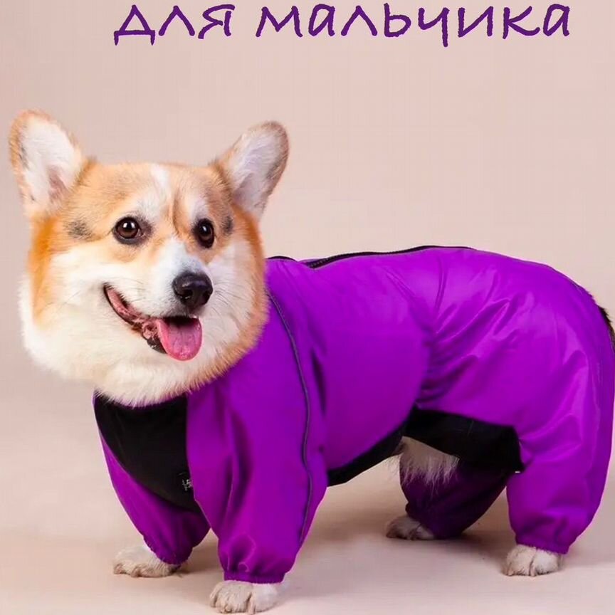 Дождевик для корги