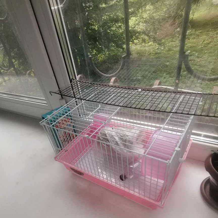 Продам клетку для грызунов