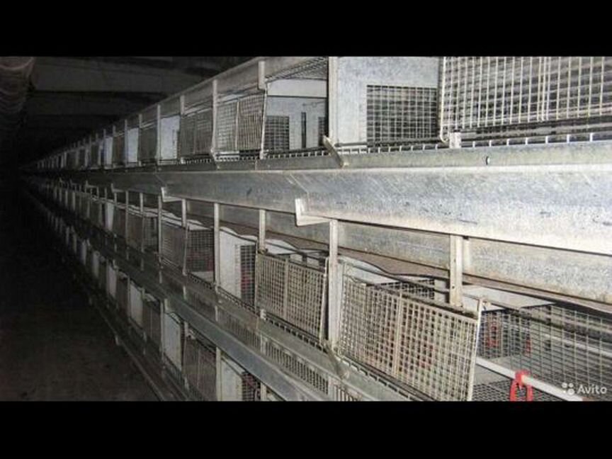 Клеточная батарея