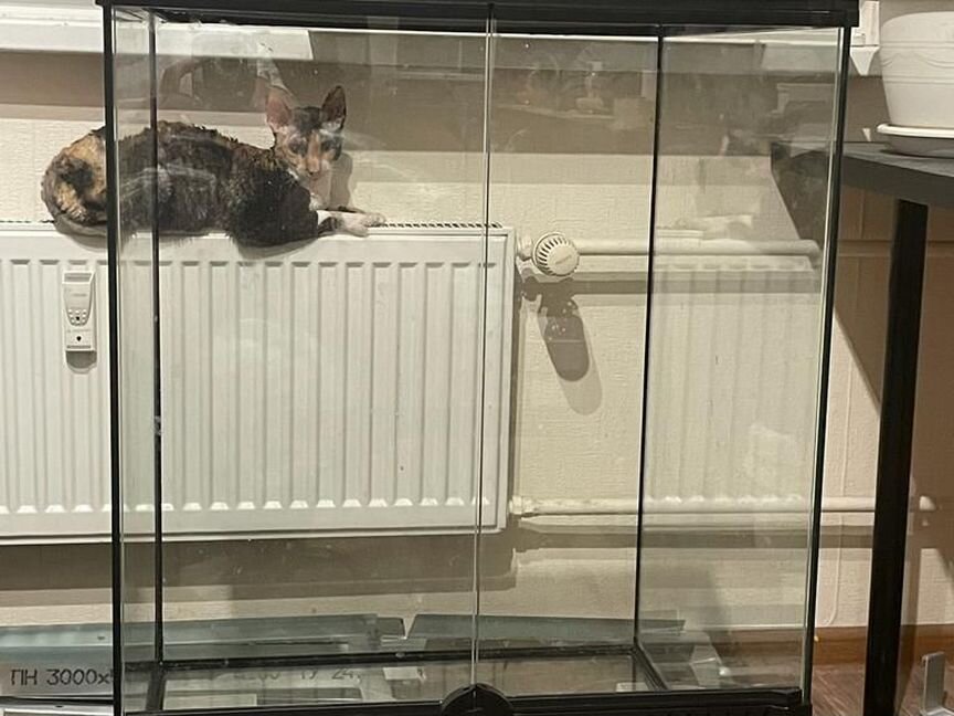 Террариум Aqua Plus Т-121, 450х450х600