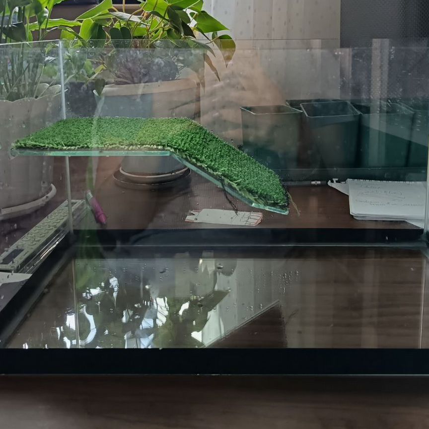 Аквариум для красноухой черепахи