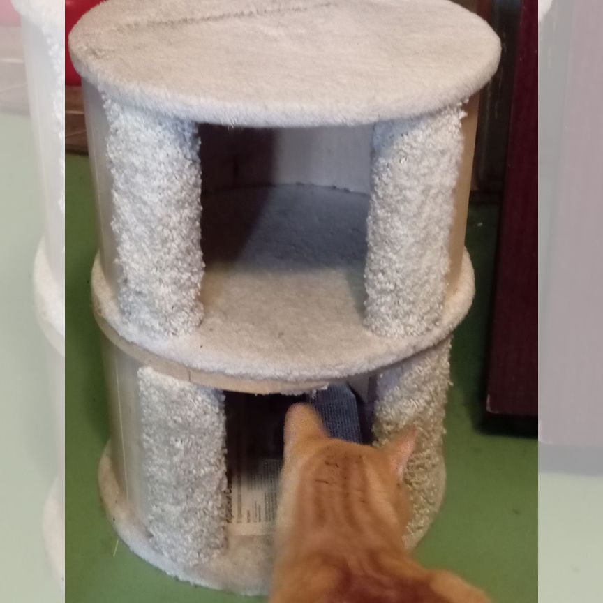 Домик для 2 котов теплый