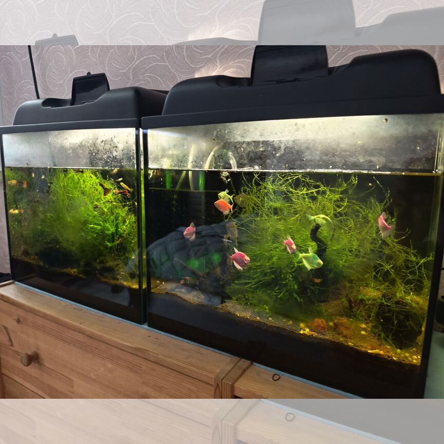 Аквариум 30л