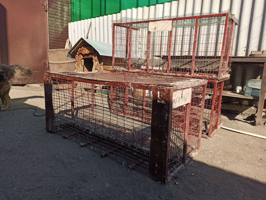 Клетка для цыплят, перепелов