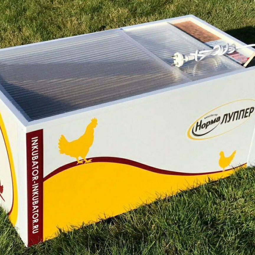 Инкубатор для яиц автоматический бу