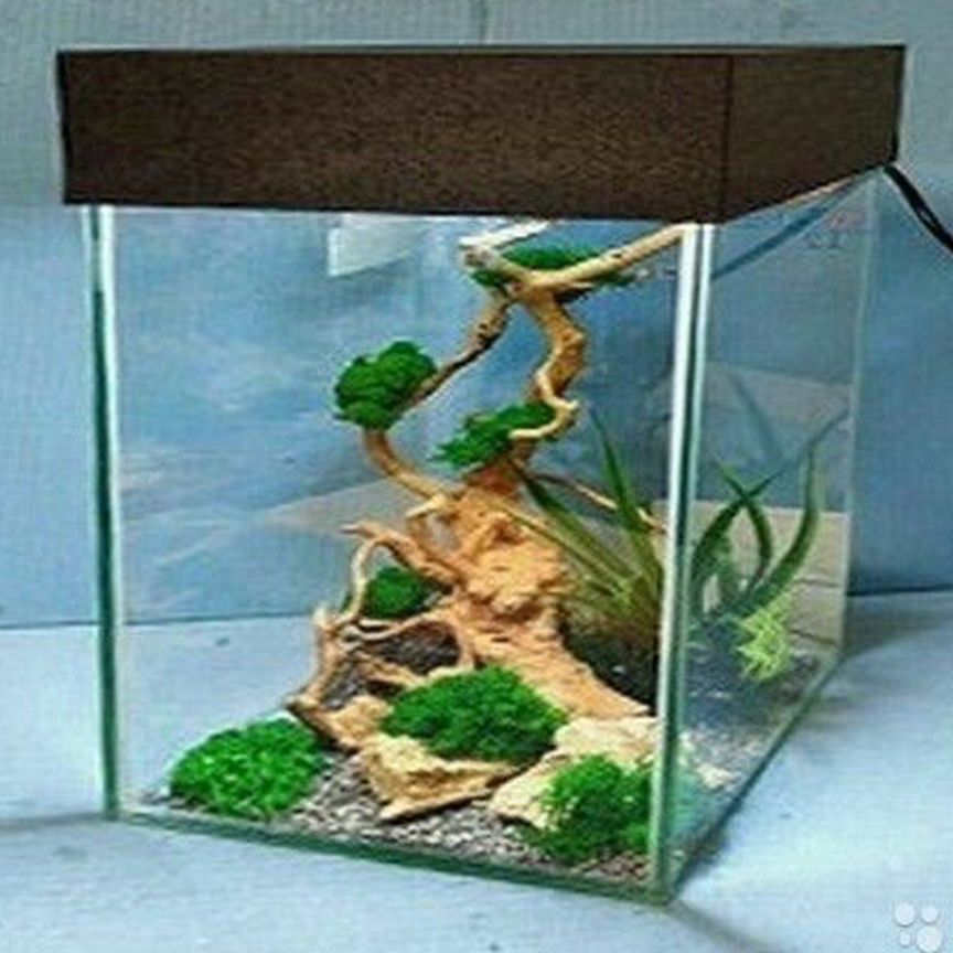 Аквариум 100 литров