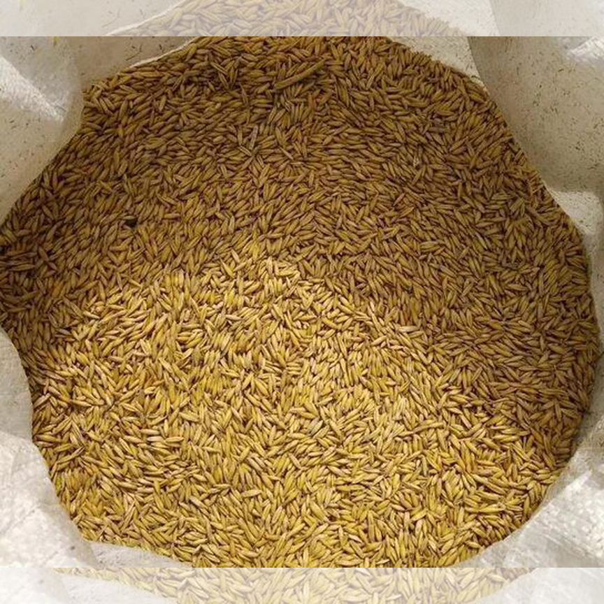 Овес в мешках