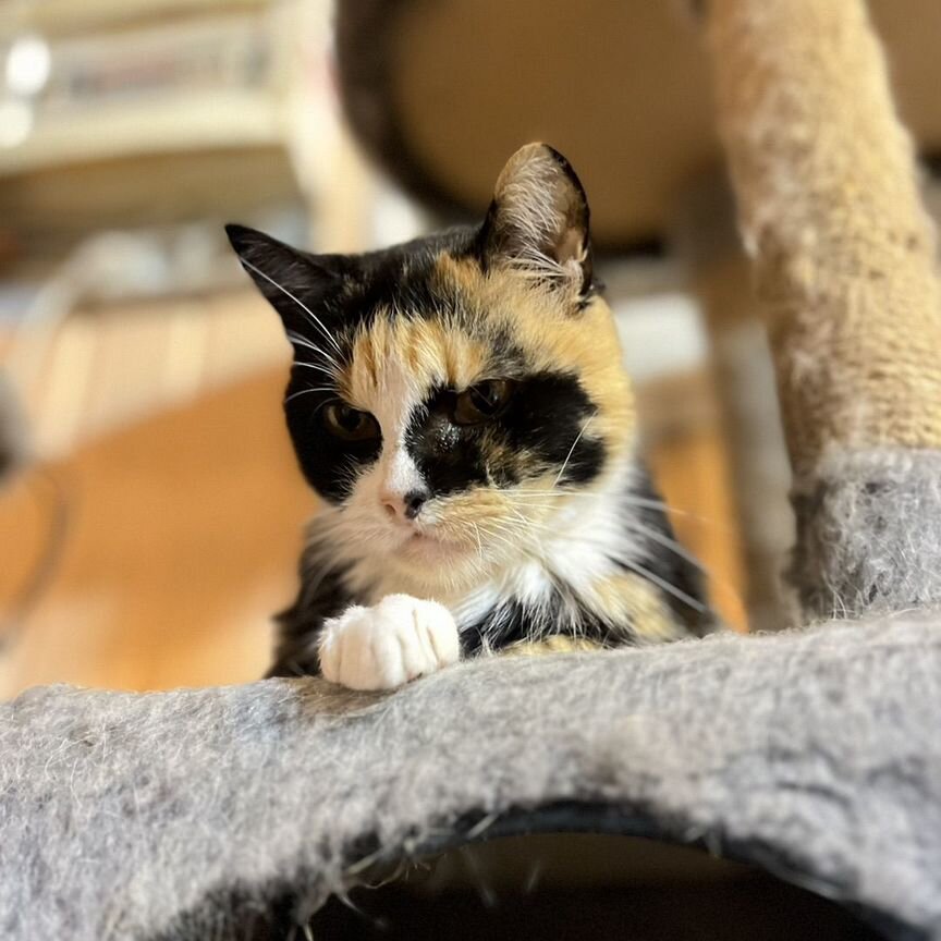 Марусю никто не берет