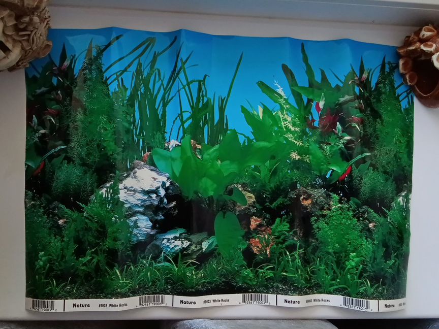 Фон для аквариума 45х30см