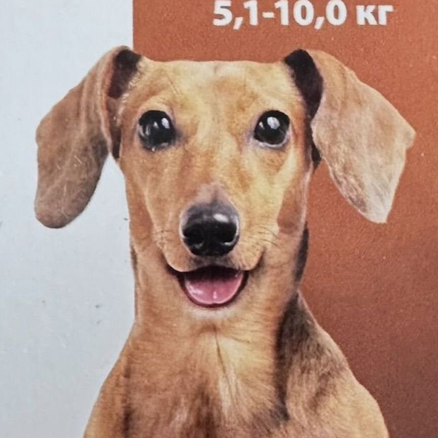 Симпарик 5-10