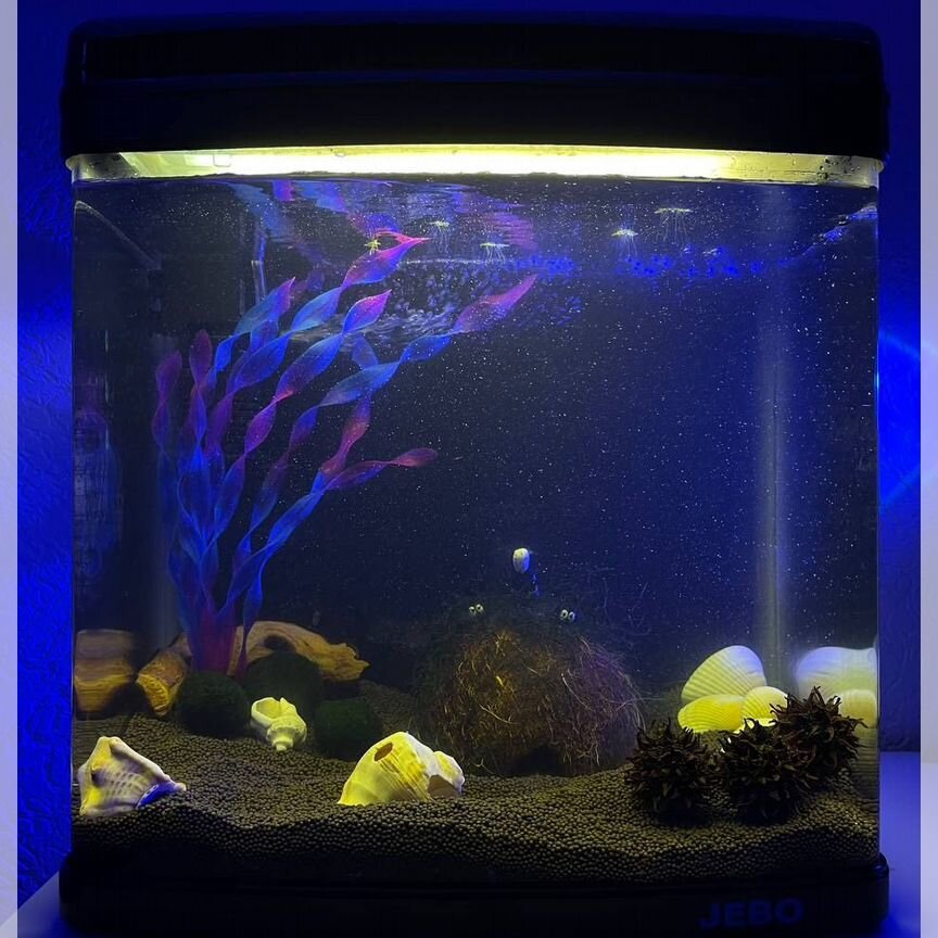 Аквариум jebo