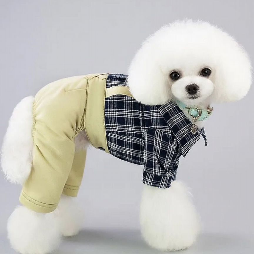 Одежда для собак мелких пород