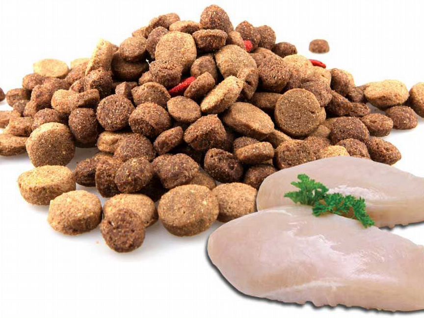 Корм для собак и кошек оптом