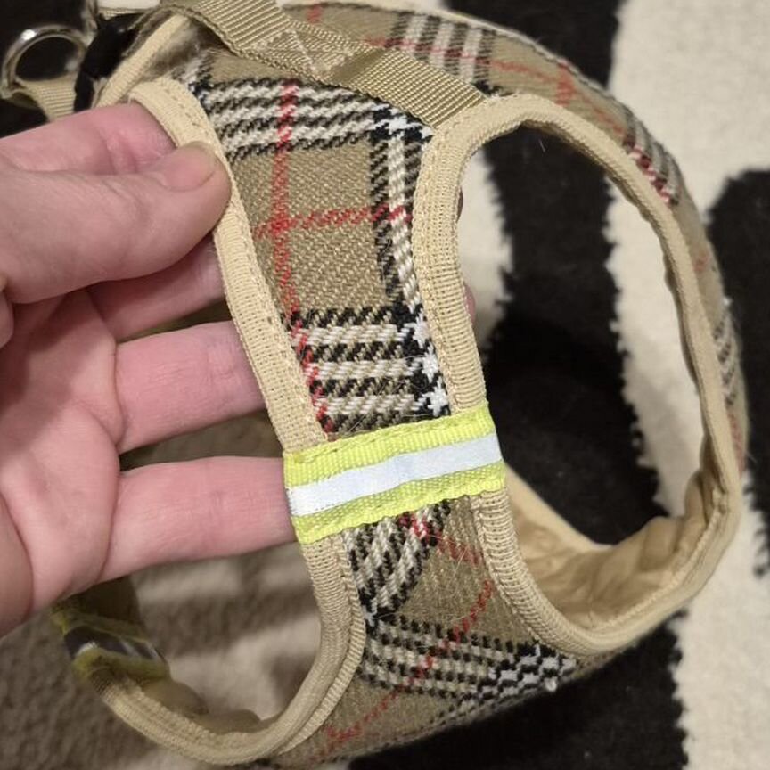 Шлейка для маленьких собак и больших кошек