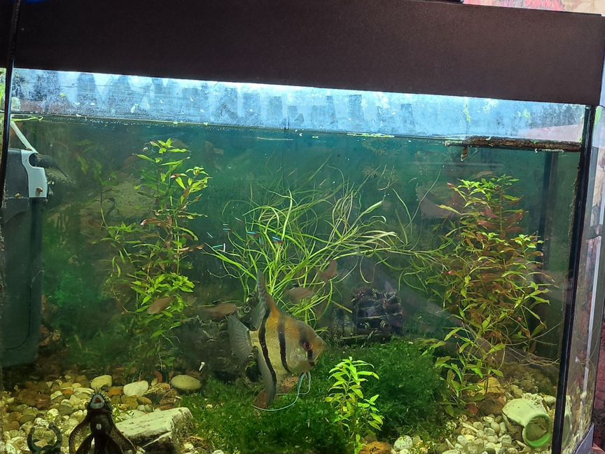 Аквариум 150л