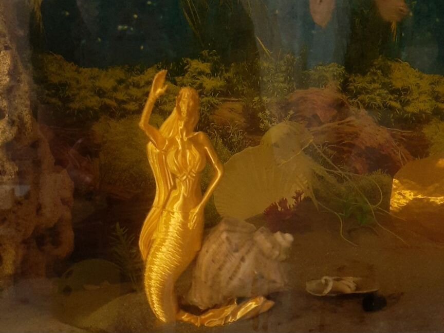 Русалка коряга в аквариум