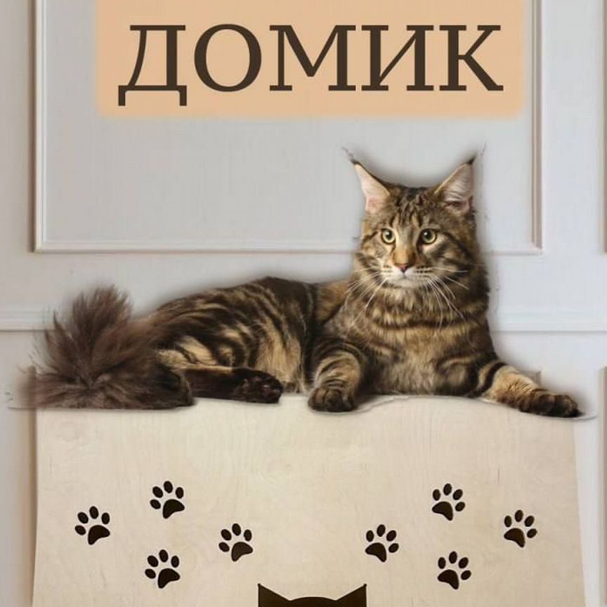 Родильный домик для кошек