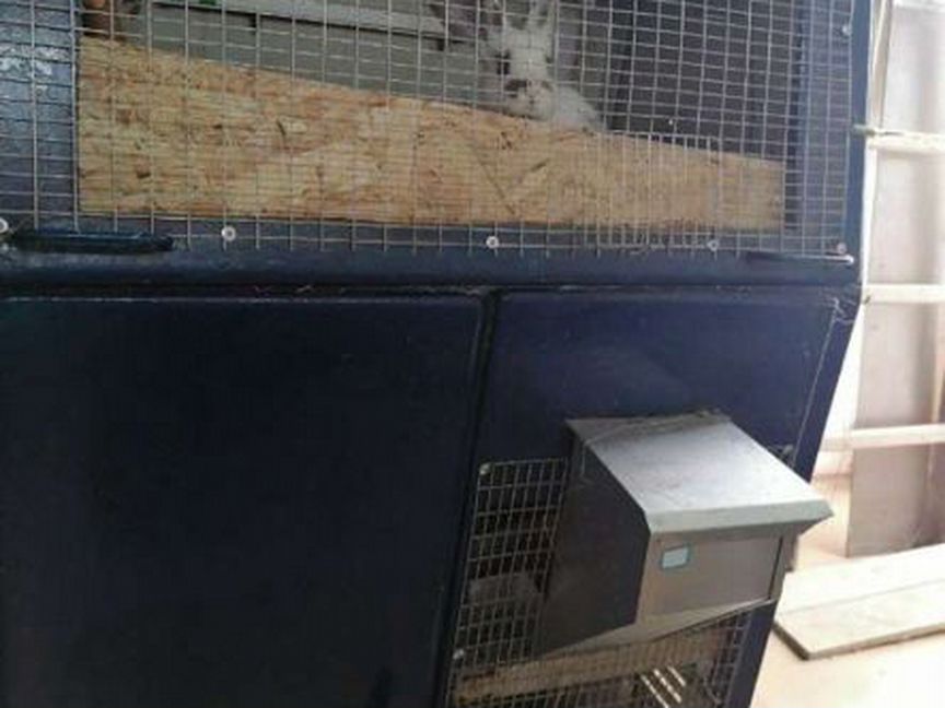 Клетка для кроликов бу