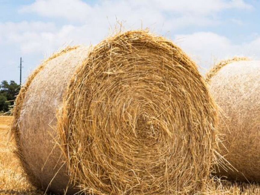 Солома в рулонах