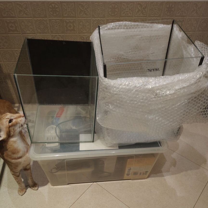 Аквариум куб 20 и 30 л с оборудованием