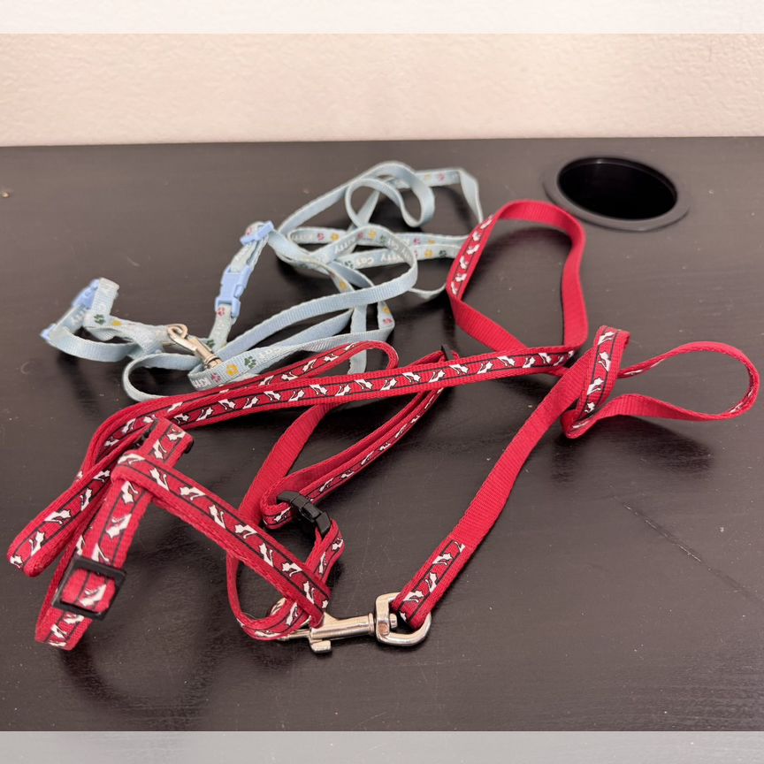 Поводок для кошки и поводок для котенка