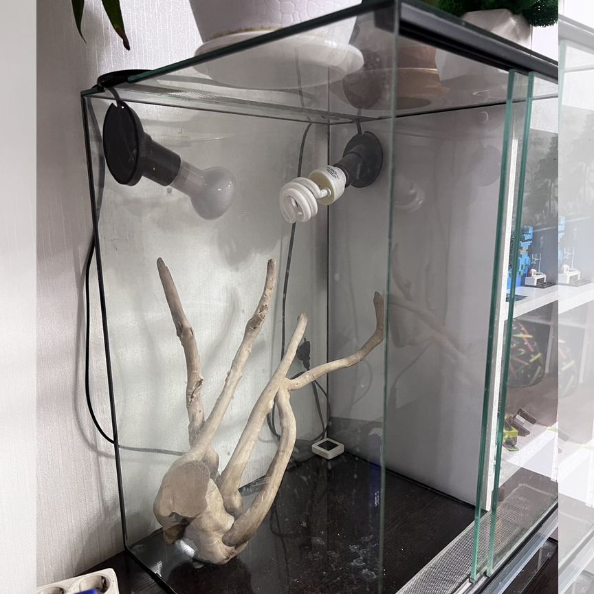 Террариум для хамелеона