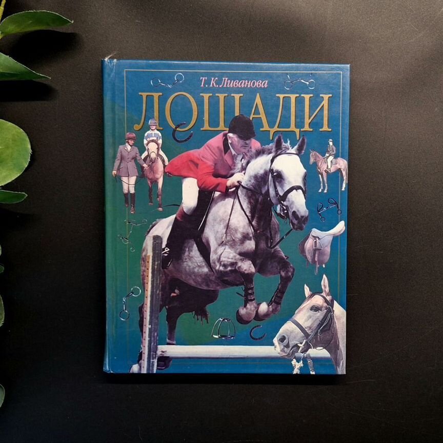 Книга про лошадей