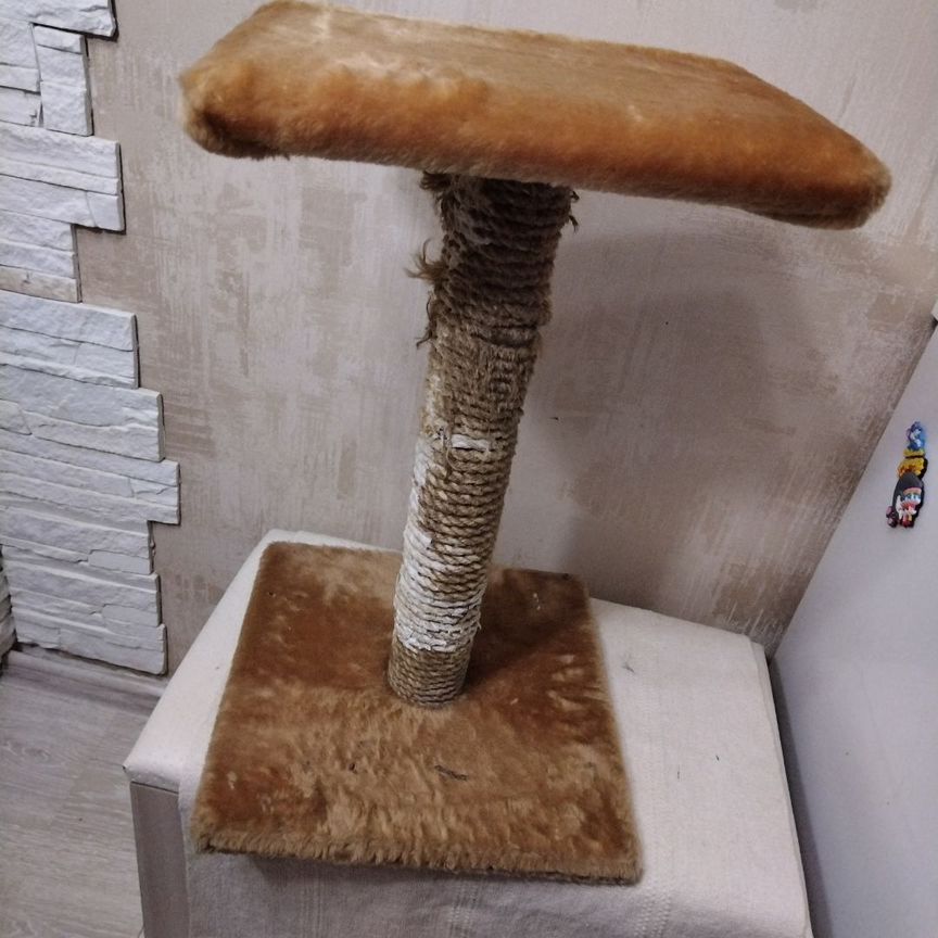 Когтеточка для кошек