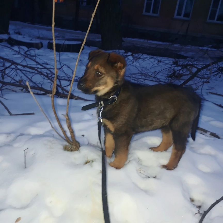 Замечательная девочка