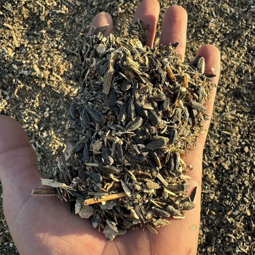 Жом свекольный, отходы семечки