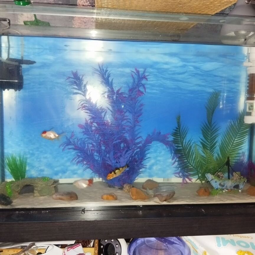 Аквариум 100 л