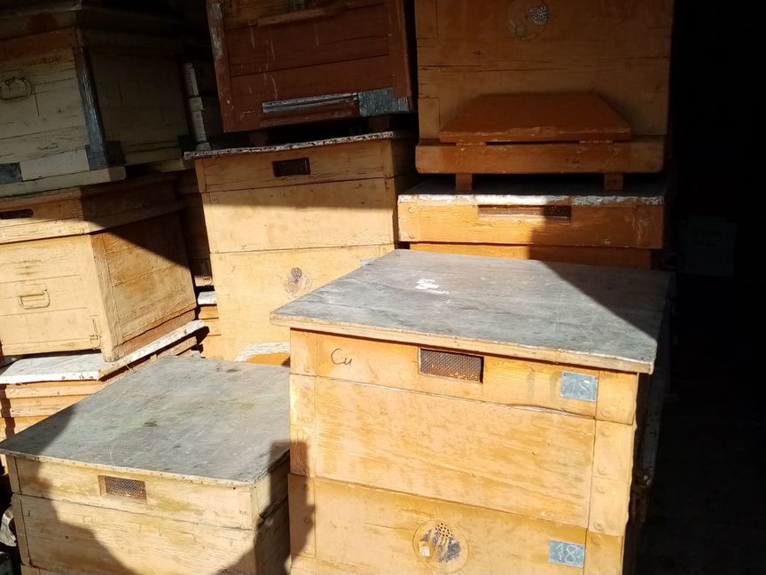 Продам ульи для пчел
