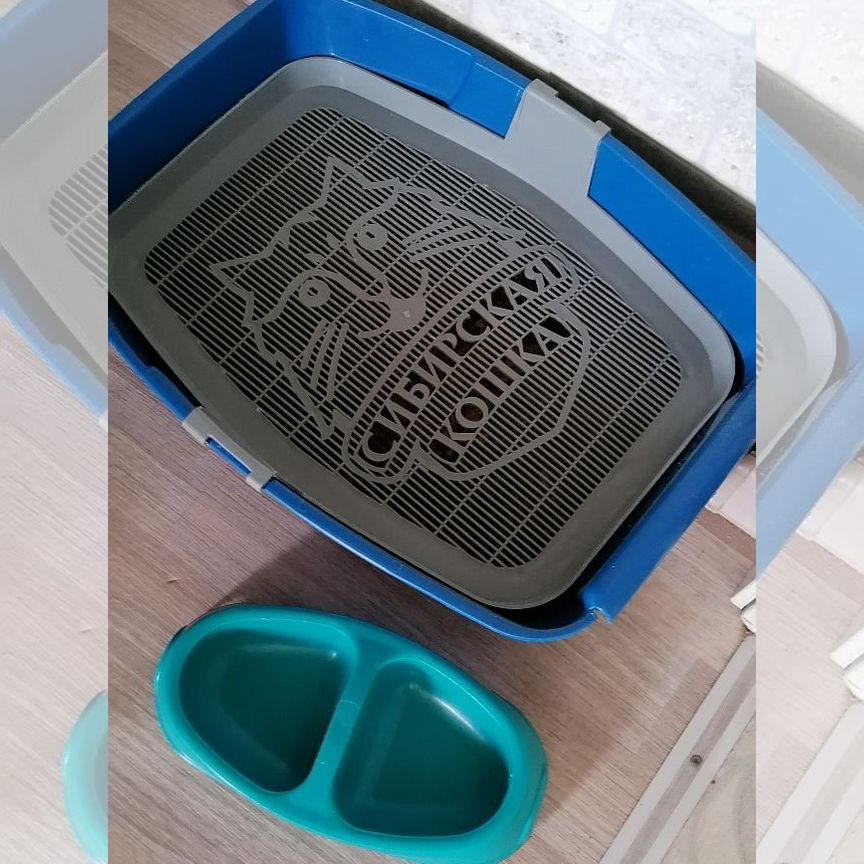 Лоток и миска