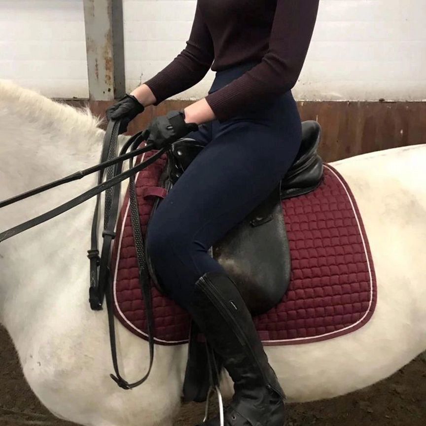 Конная амуниция