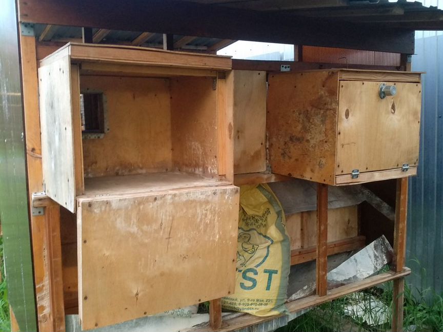 Маточник для кроликов