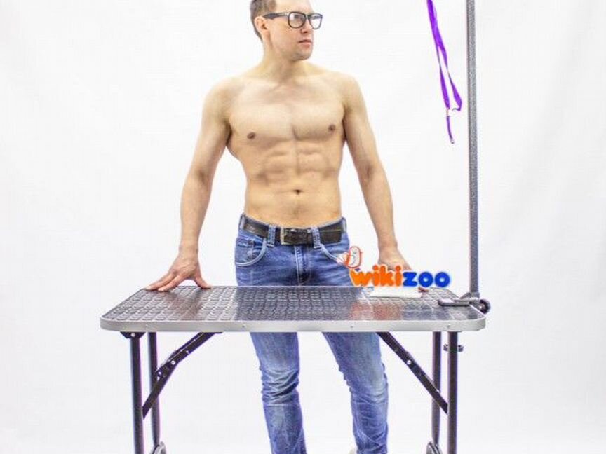 Стол для груминга складной 90 х 60 х 80 см