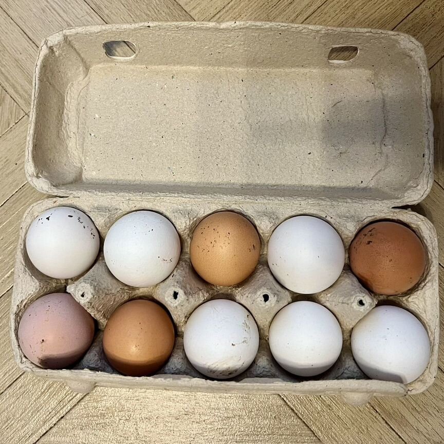 Свежие домашние яйца