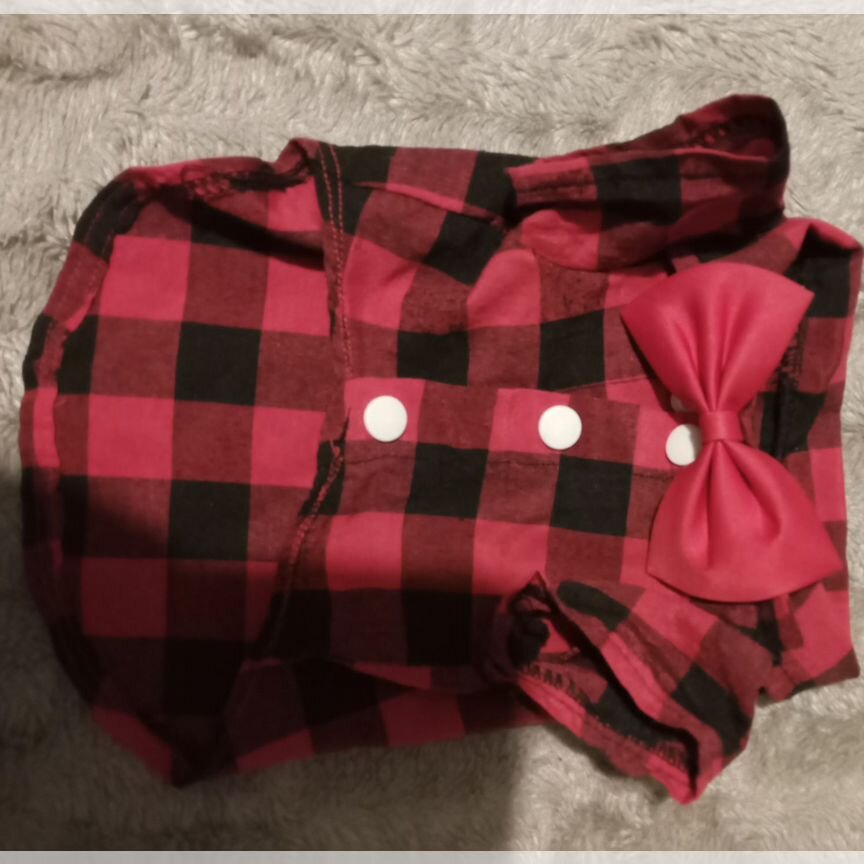 Одежда для маленьких собак s