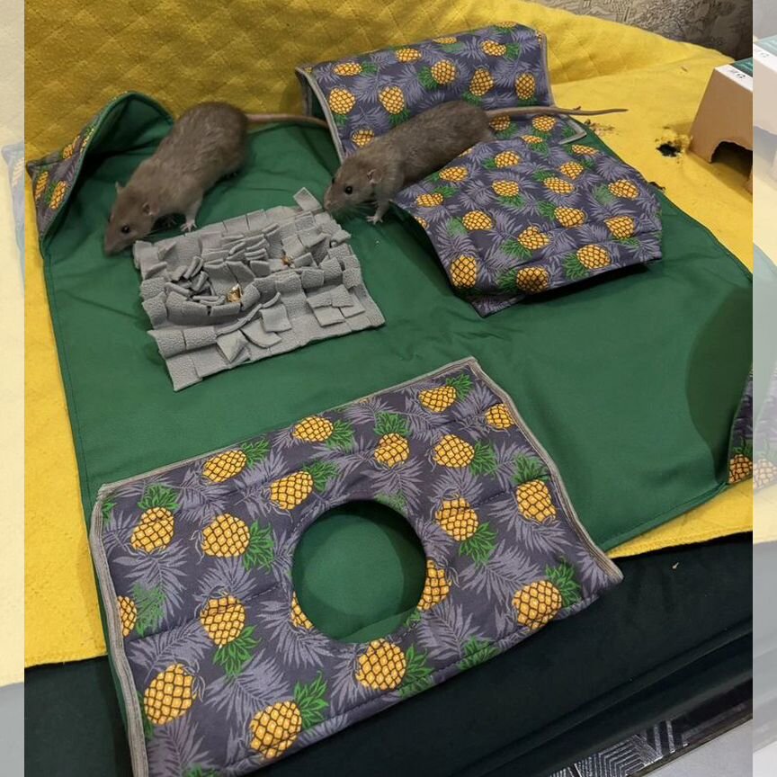 Игровой коврик для выгула грызунов 60*60