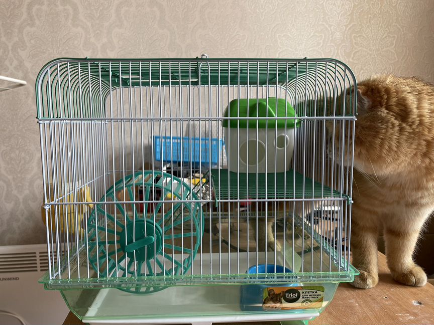 Клетка для грызунов