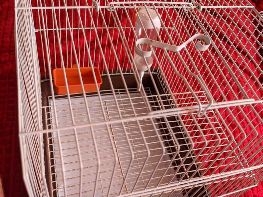 Клетка для грызунов