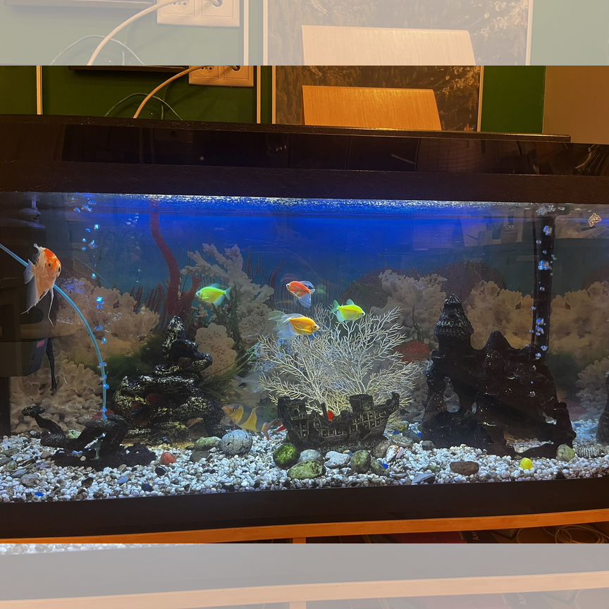 Аквариум 20 литров с тумбой и рыбы