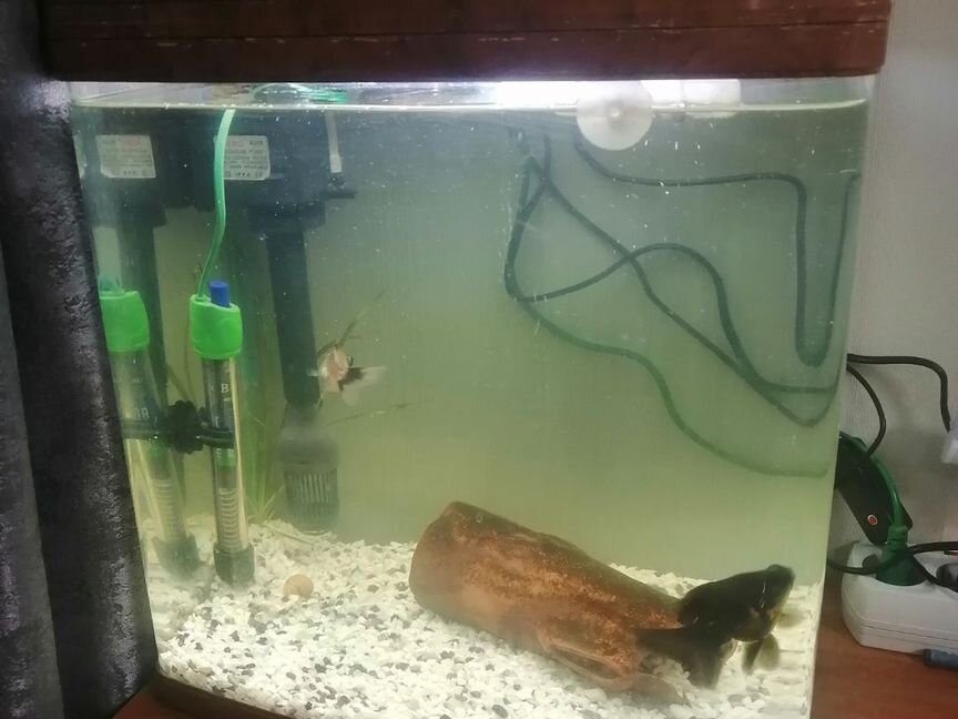 Аквариум jebo R 338 (35 л) в комплекте